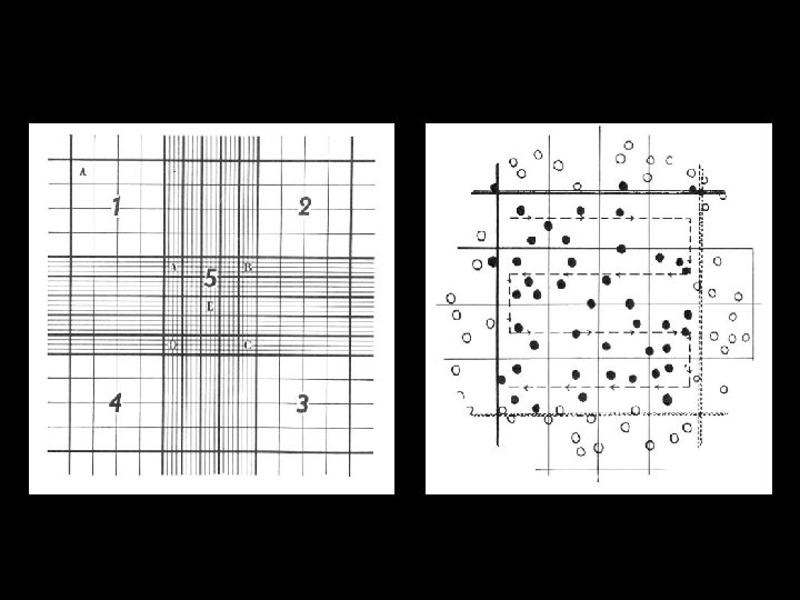 Introduction Red blood cells make up almost 45