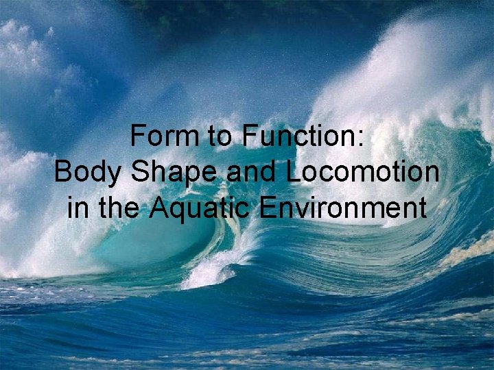 Form to Function Body Shape and Locomotion in