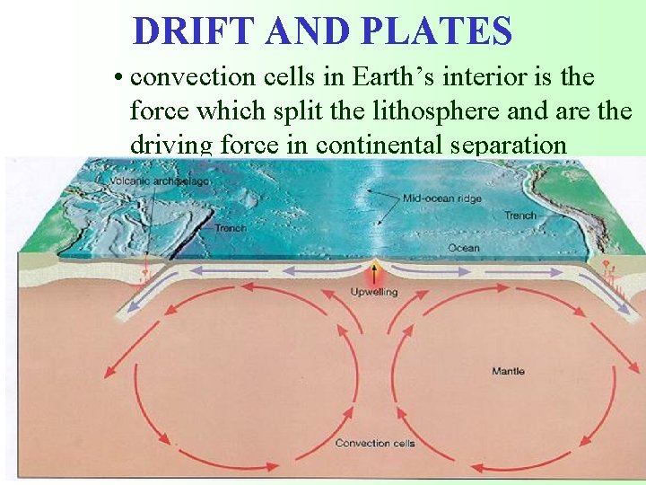 CONTINENTAL DRIFT AND PLATE TECTONICS DRIFT AND PLATES