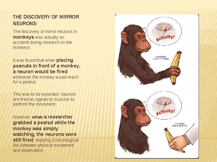 What are they and how do they work