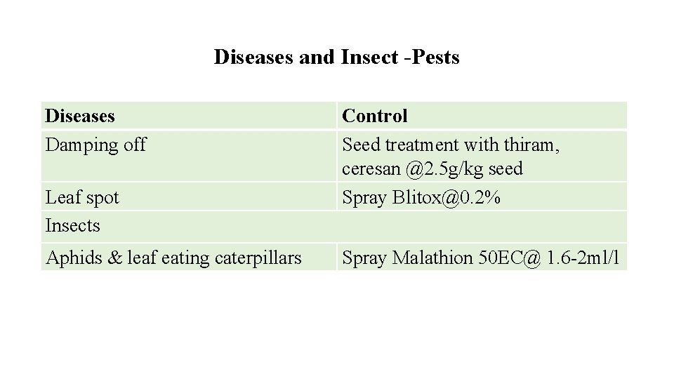 Differences between Spinach beet and Spinach beet Indian