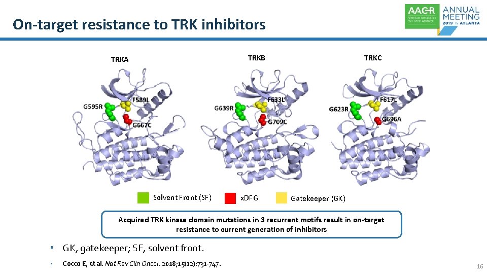 Dianas teraputicas emergentes Nuevos inhibidores de tirosina kinasa