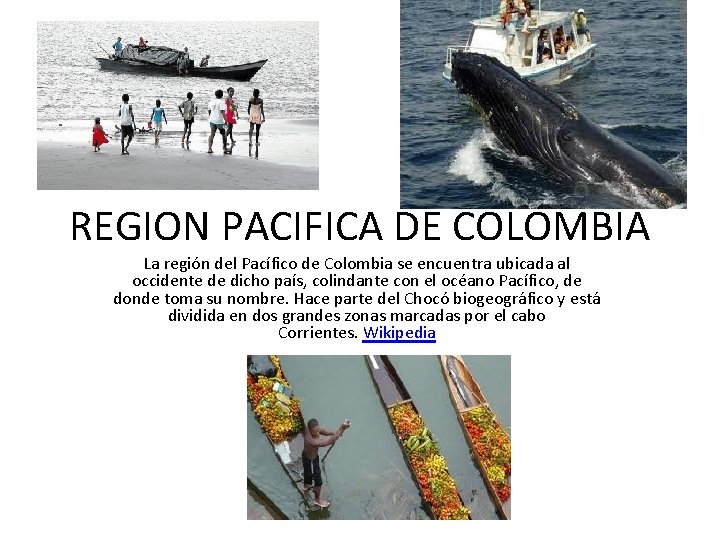 REGION PACIFICA DE COLOMBIA La regin del Pacfico