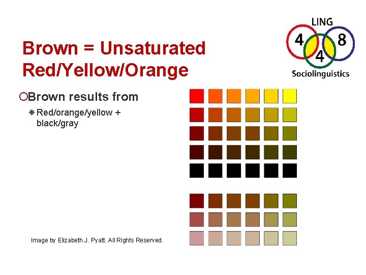 Colors Numbers and Language Class 11 B Puzzle