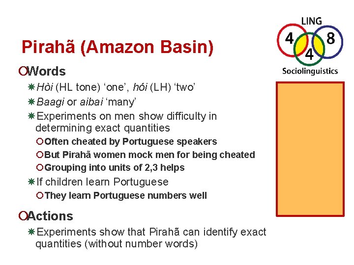 Colors Numbers and Language Class 11 B Puzzle