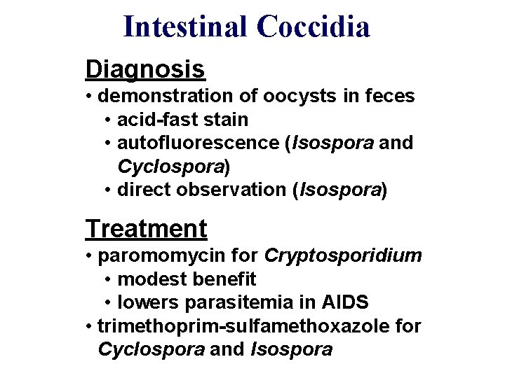 Protozoa Apicomplexa Gregarinea Sarcomastigophora Coccidia Piroplasma ...