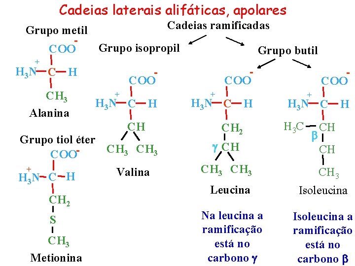 Aminocidos Protenas so polmeros de aminocidos Embora mais