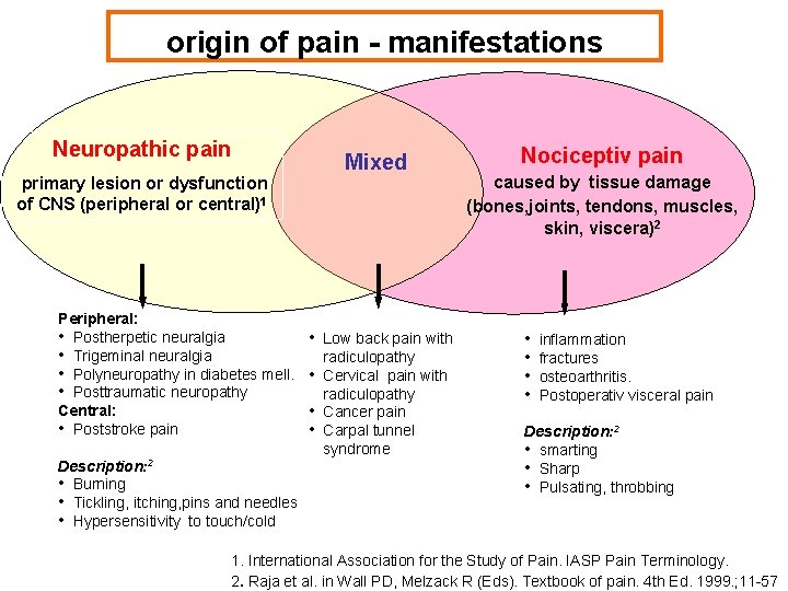 The sensory system and pain syndromes Vth year