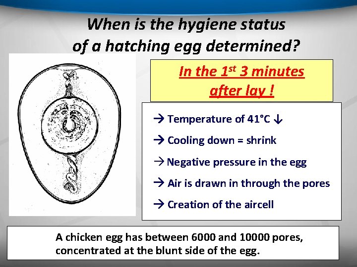 Egg Management From Nest to Incubator Glenn Bushell