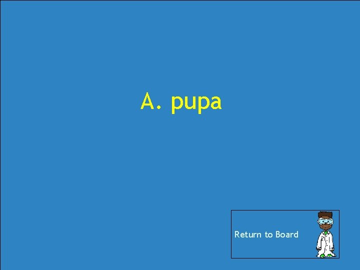 Science Organisms And their environment Jeopardy 2017 Tales