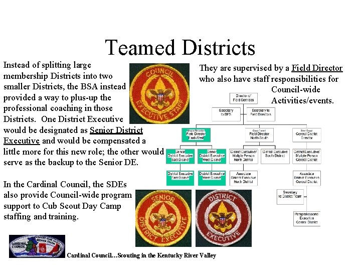 Professional Structure in the Cardinal Council Mike Walton
