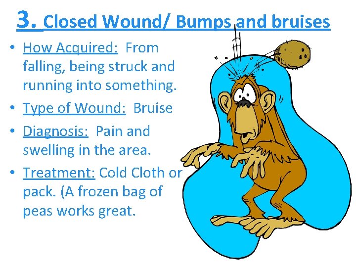 First Aid and Emergency Procedures Standard 3 Objective