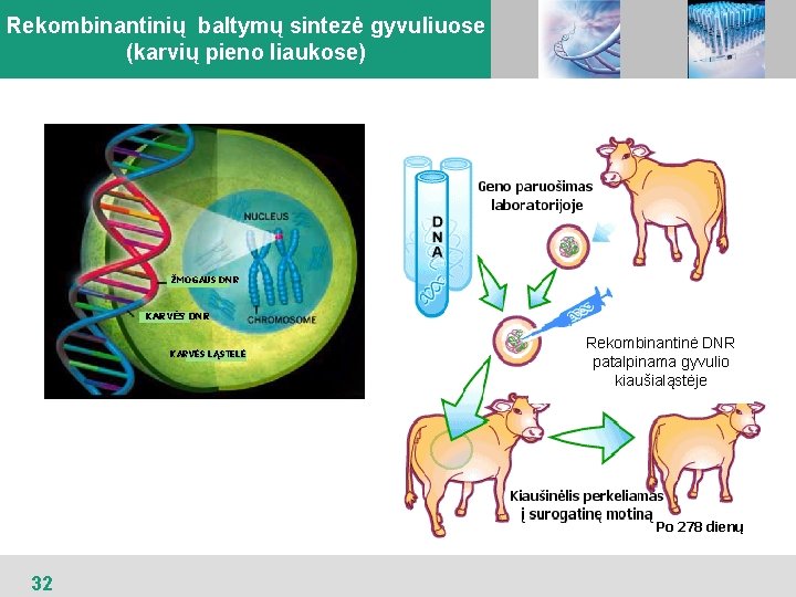 Biofarmacija arba Raudonoji biotechnologija faktai ir galimybs LMA