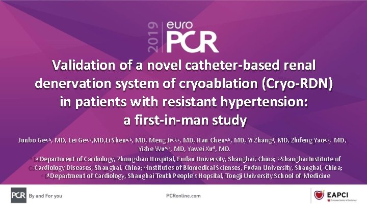 Validation of a novel catheterbased renal denervation system
