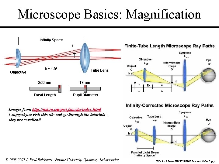 BMS 524 Introduction to Confocal Microscopy and Image
