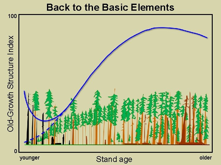Defining Older Forests Over 80 years Latesuccessional Oldgrowth