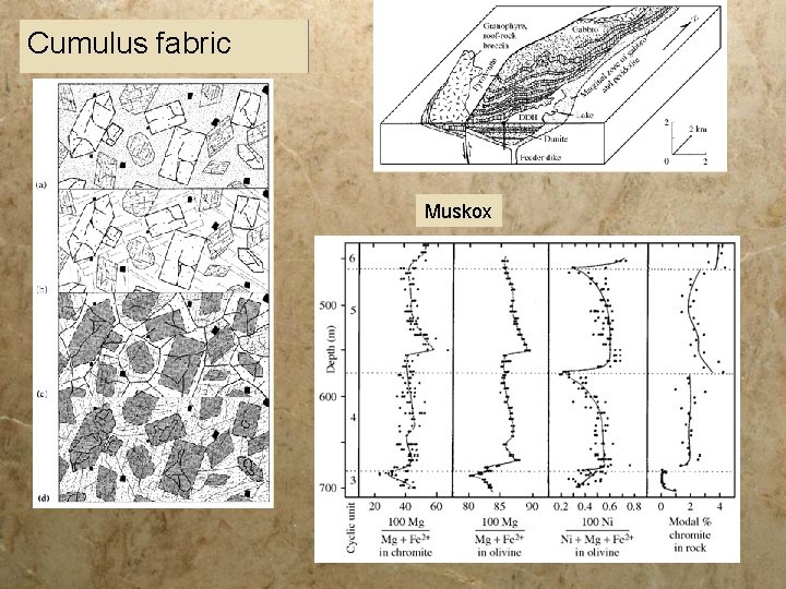 Magmatic differentiation Differentiation crystallization of a magma ...