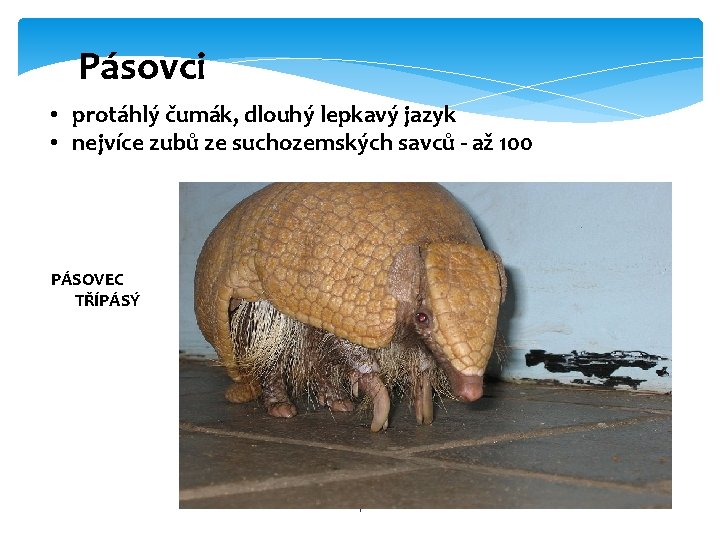 Zkladn kola a Matesk kola Bl Temen okres