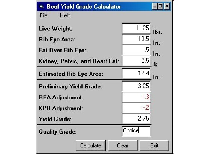 Livestock GradingEvaluation Animal Science I Animal Classes Beef