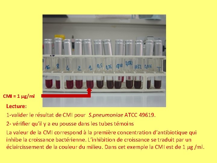 CMI en milieu liquide Exemple CMI de la