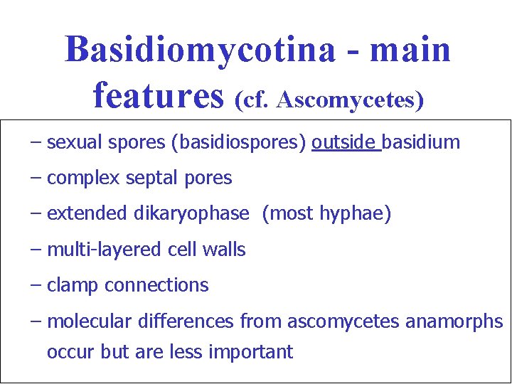 Basidiomycotina 2 Chromistan Fungi Eumycotan Fungi 1 Chytridiomycota