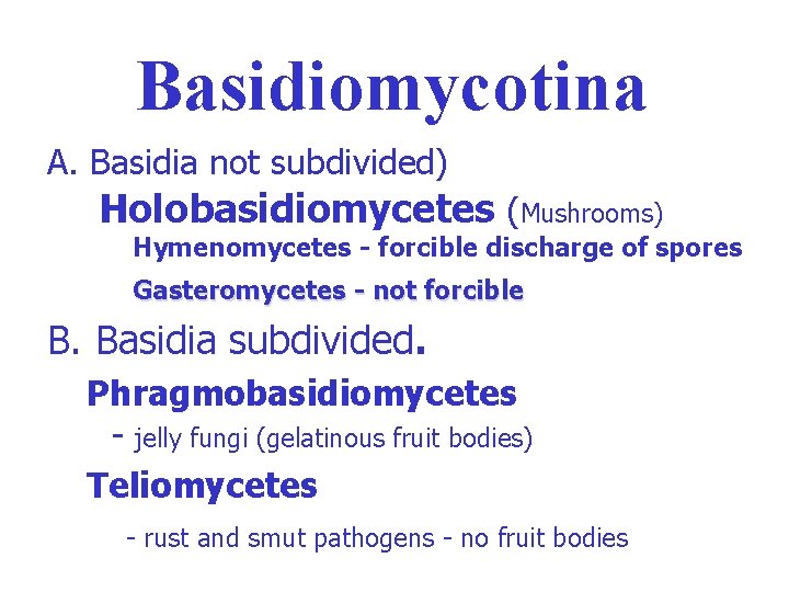Basidiomycotina 2 Chromistan Fungi Eumycotan Fungi 1 Chytridiomycota