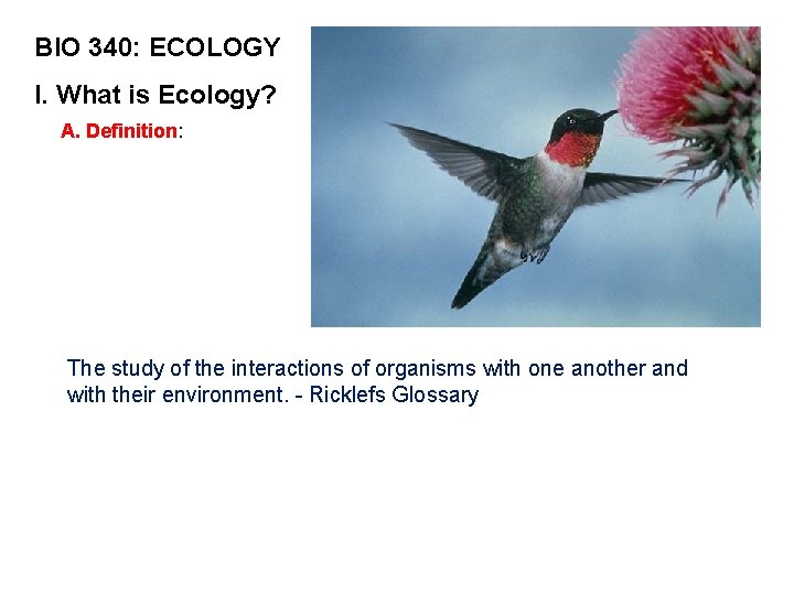 BIO 340 ECOLOGY I What is Ecology A