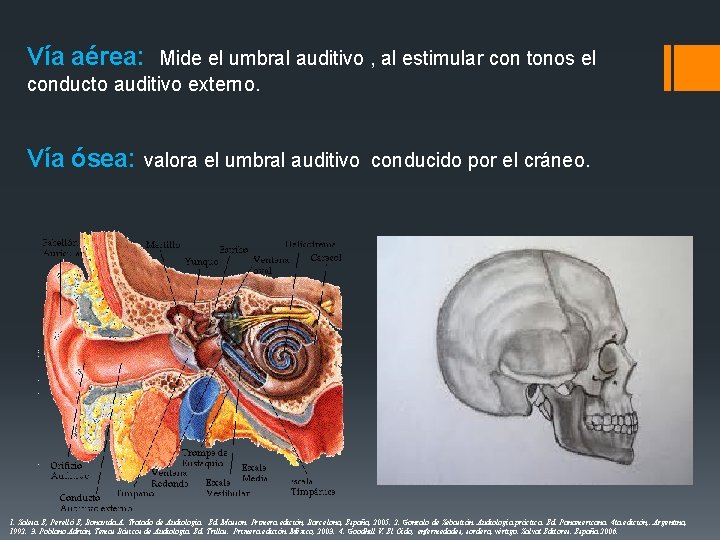 ACUMETRIA AUDIOMETRIA LOGOAUDIOMETRIA IMPEDANCIOMETRIA DR EDGAR IVAN ...