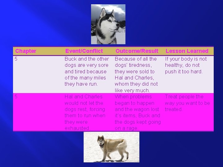 THE CALL OF THE WILD CONFLICTS AND SIGNIFICANT