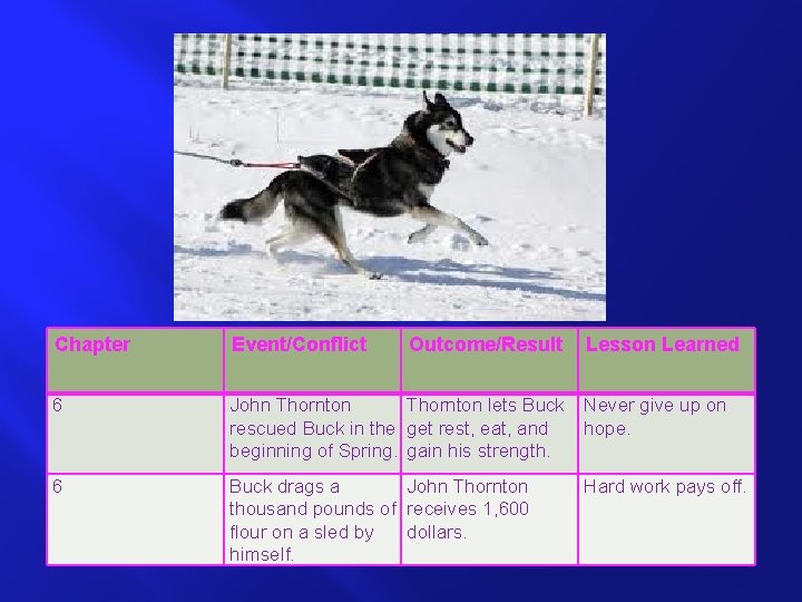 THE CALL OF THE WILD CONFLICTS AND SIGNIFICANT