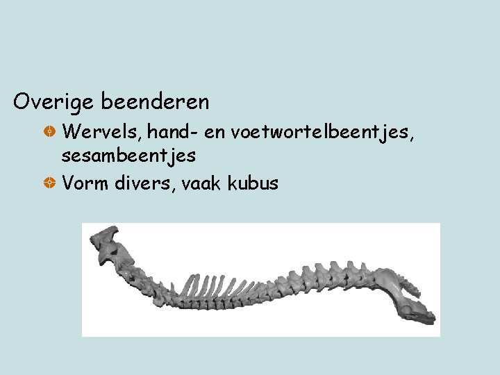 De huid in beweging Hoofdstuk 2 Skelet en