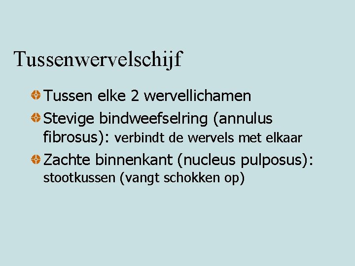 De huid in beweging Hoofdstuk 2 Skelet en