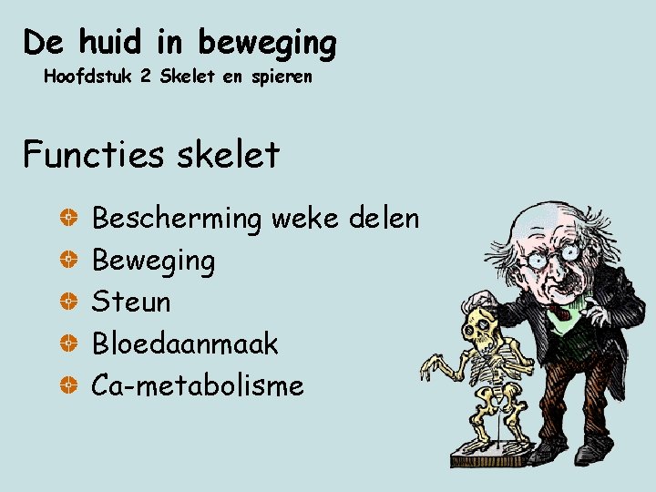 De huid in beweging Hoofdstuk 2 Skelet en