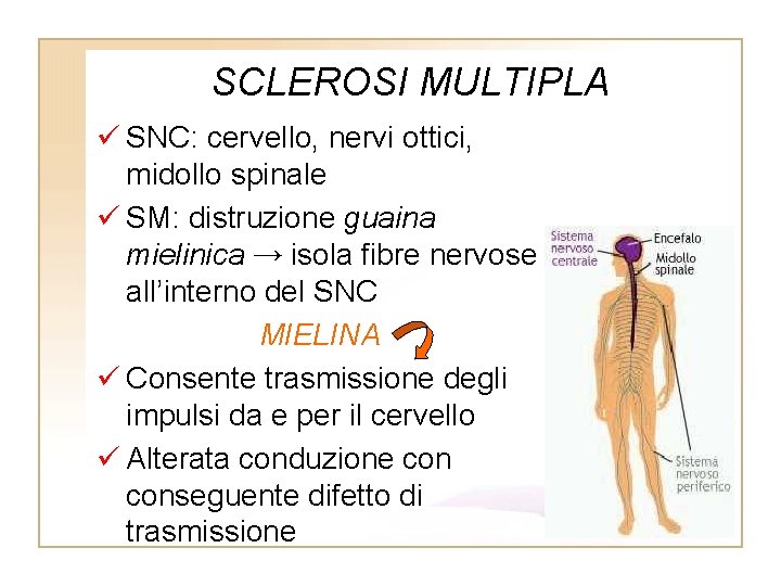 ASSISTENZA INFERMIERISTICA AL SOGGETTO AFFETTO DA SM SCLEROSI