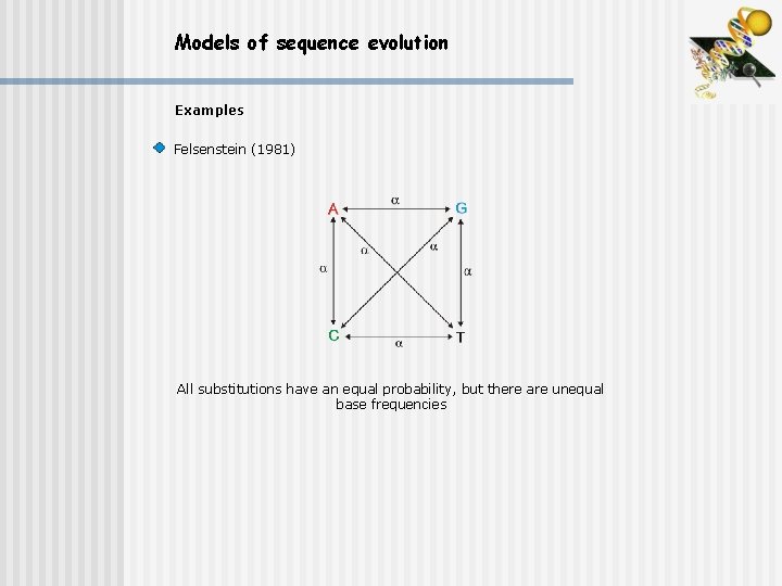 CS 177 Phylogenetics I Taxonomy and phylogenetics Phylogenetic