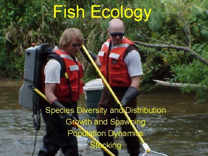 Fish Ecology Species Diversity and Distribution Growth and