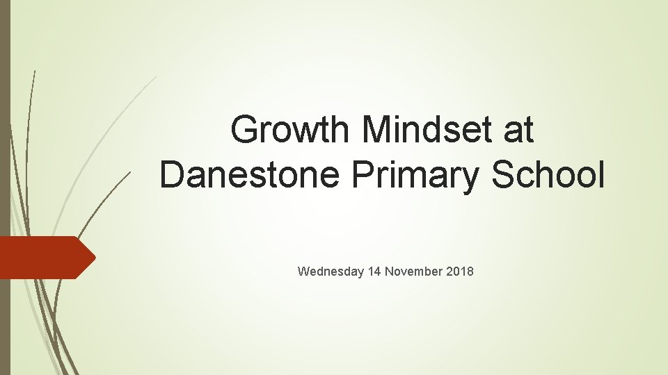 Growth Mindset at Danestone Primary School Wednesday 14