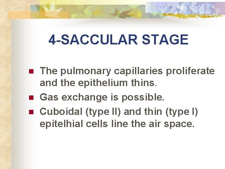 RESPIRATORY SYSTEM DEVELOPMENT PROF DR AYE GLER EROLU