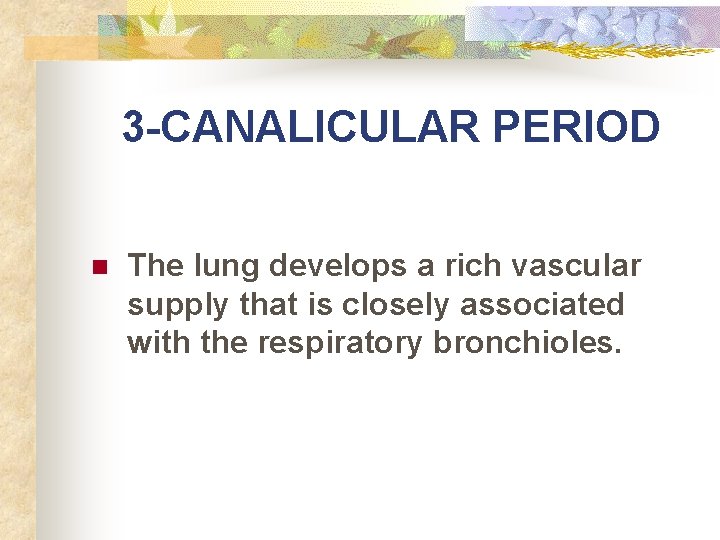 RESPIRATORY SYSTEM DEVELOPMENT PROF DR AYE GLER EROLU