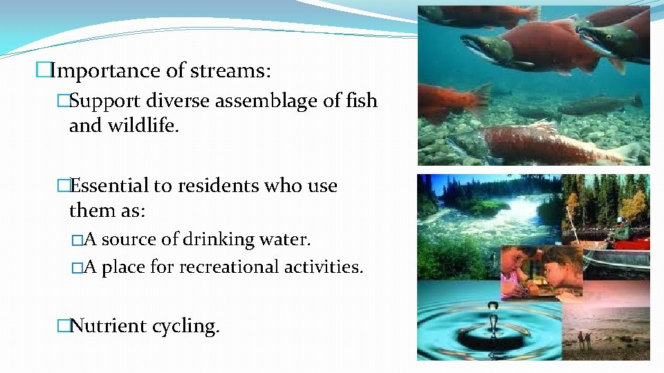 EVPP 110 Lab Freshwater Streams 1 2 Diversity