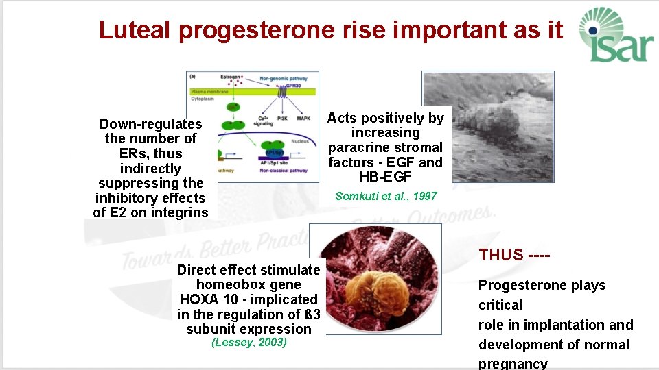 Luteal Phase Support SIG Endocrinology 2019 Chairperson Madhuri