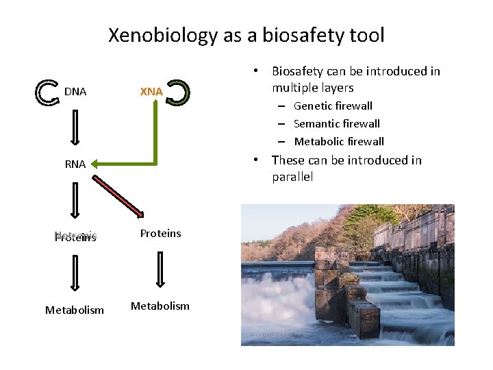 How far can biology be redesigned Orthogonality as