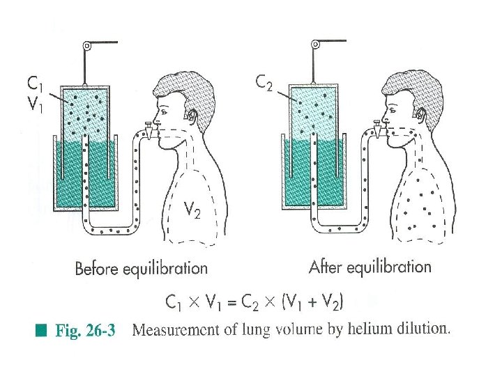 Sem Physio 22 Mechanical properties of the lung