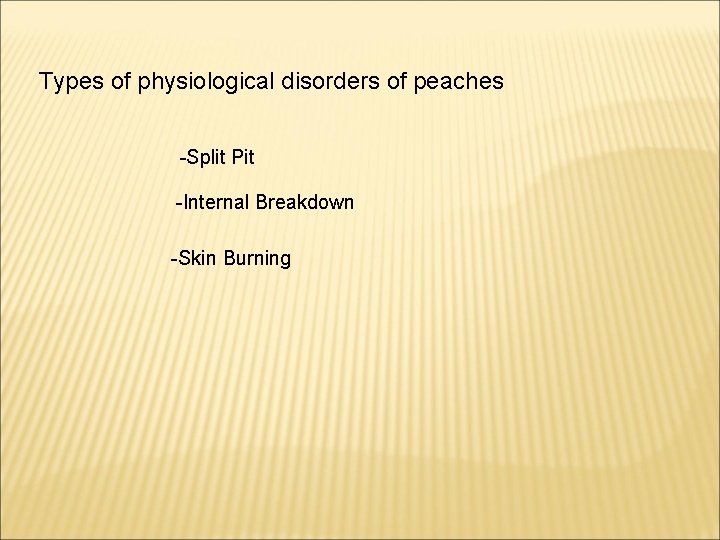 Physiological disorders of peaches Lara Jaber Supervision By