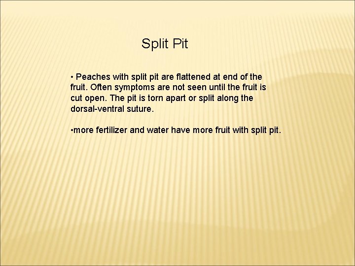 Physiological disorders of peaches Lara Jaber Supervision By