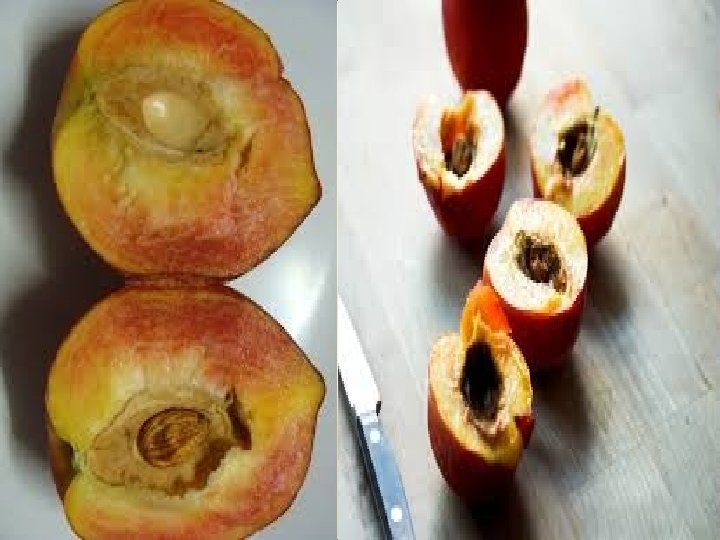 Physiological disorders of peaches Lara Jaber Supervision By