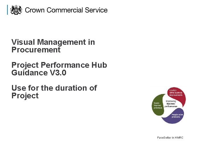 Visual Management in Procurement Project Performance Hub Guidance