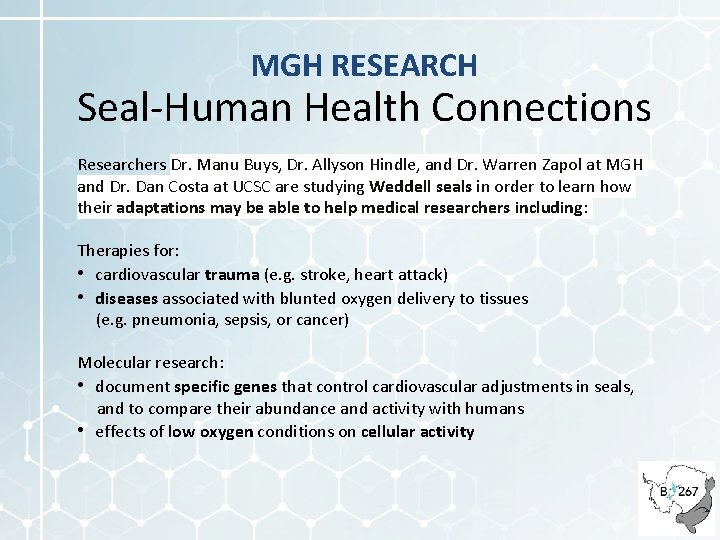 Weddell Seal Presentation for High School Biology Connections