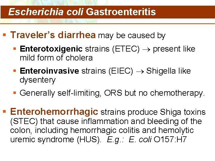 Ch 25 Microbial Diseases of the Digestive System