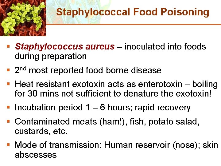 Ch 25 Microbial Diseases of the Digestive System